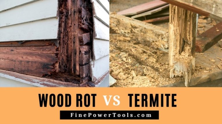Wood Rot vs Termite Damage. Signs and How to Fix?
