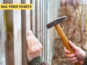 Nails or Screws for Fence? Pros & Cons of Screw vs Nail